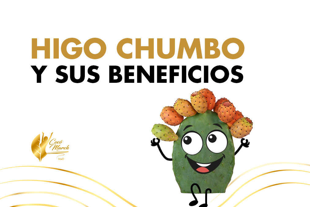 Higo Chumbo: Beneficios, Propiedades y Recetas | Coco March Higo Chumbo: Beneficios, Propiedades y Recetas | Coco March